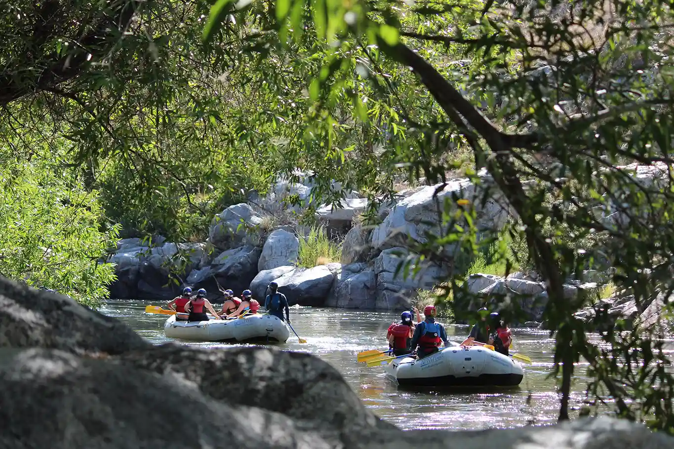 Class III Half Day Rafting - Momentum - Kern River Rafting